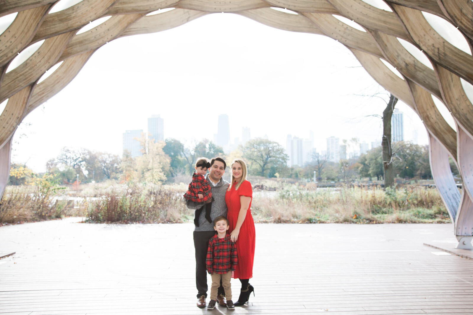 20 Great Chicago Locations for Holiday Photos - The Chicago Good Life