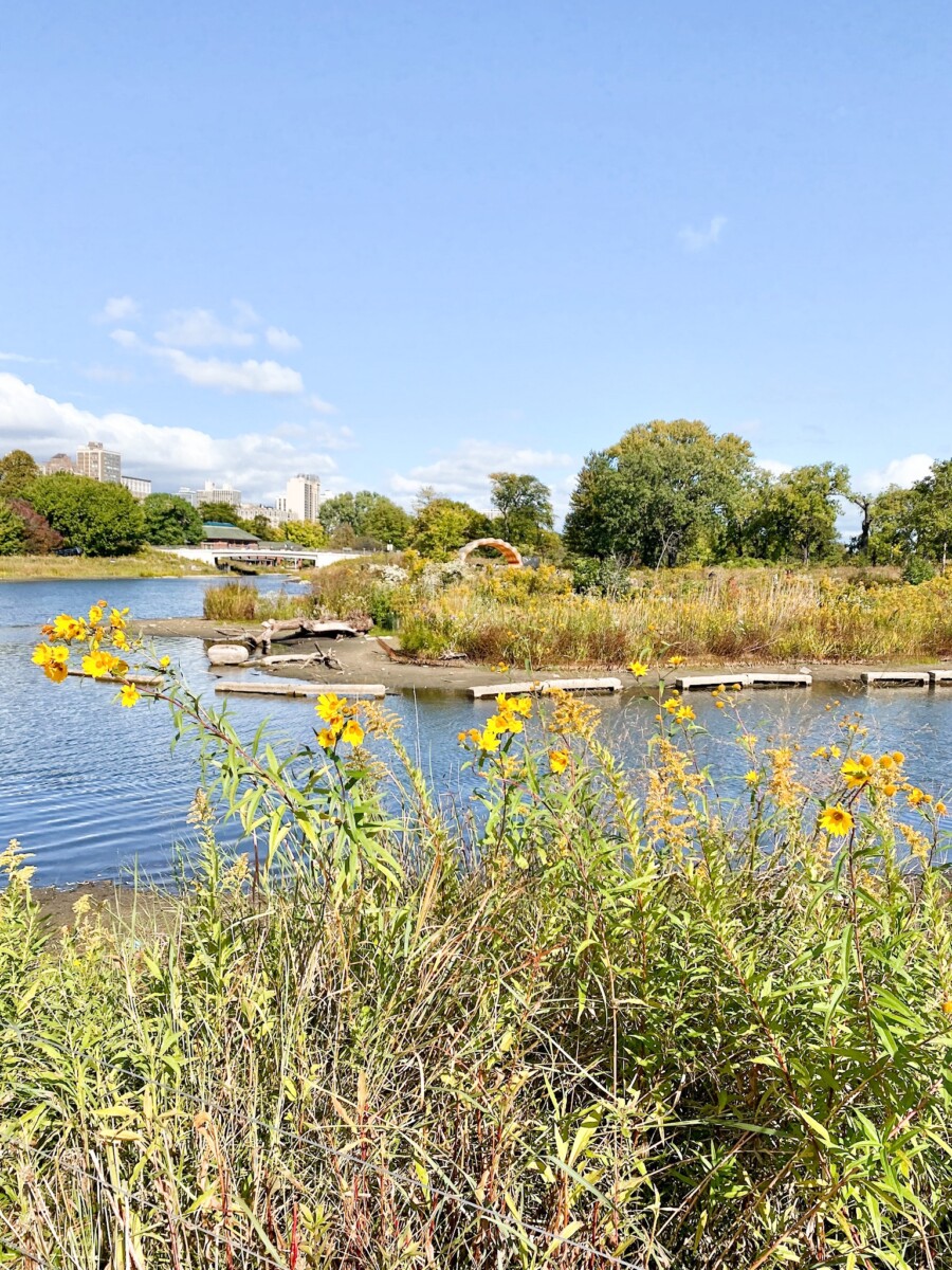 Chicago Family: Spring Break in the City - The Chicago Good Life