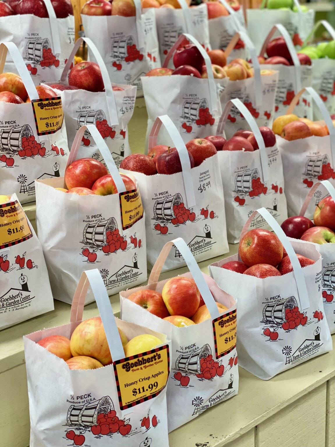 15 Pumpkin Patches and Apple Orchards Near Chicago