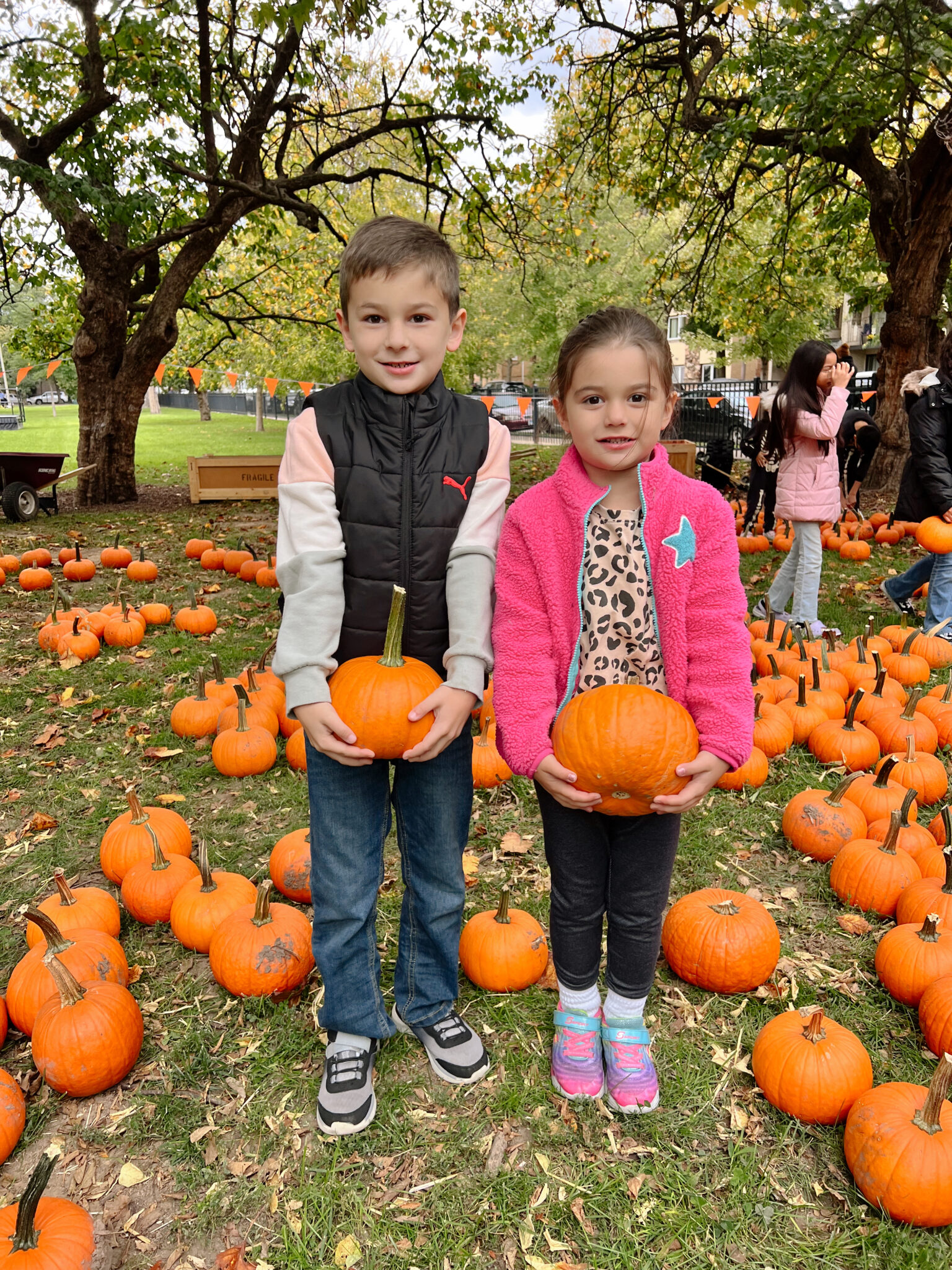 15 Pumpkin Patches and Apple Orchards Near Chicago